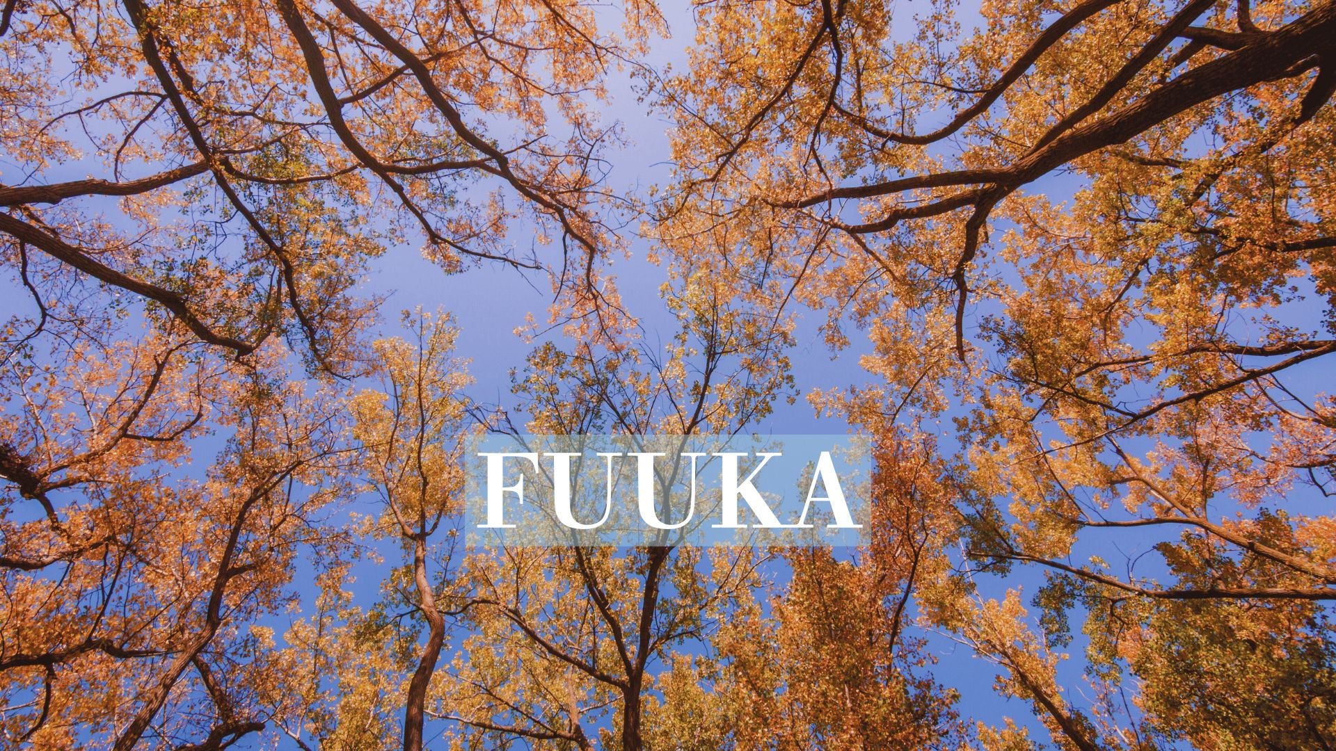 HSP・繊細さんのためのアロマ｜不眠・電磁波にも寄り添うFUUKA公式 – FUUKA（ふうか）アロマ